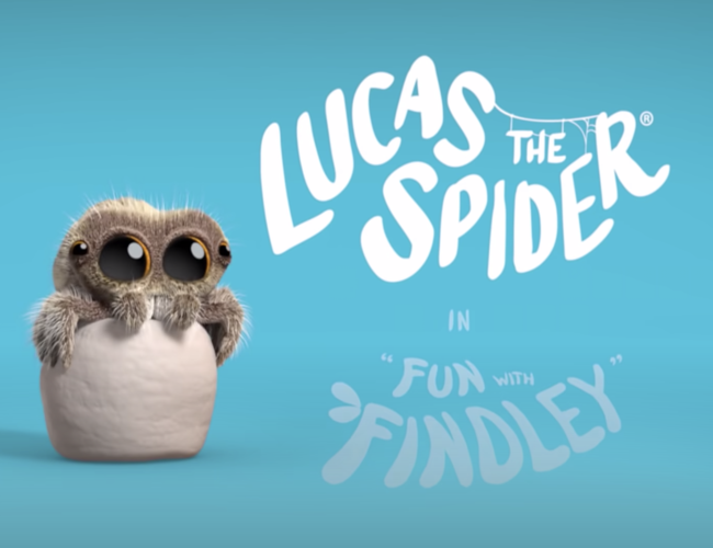Are marshmallows for bouncing or eating? Lucas the Spider finds out in ...
